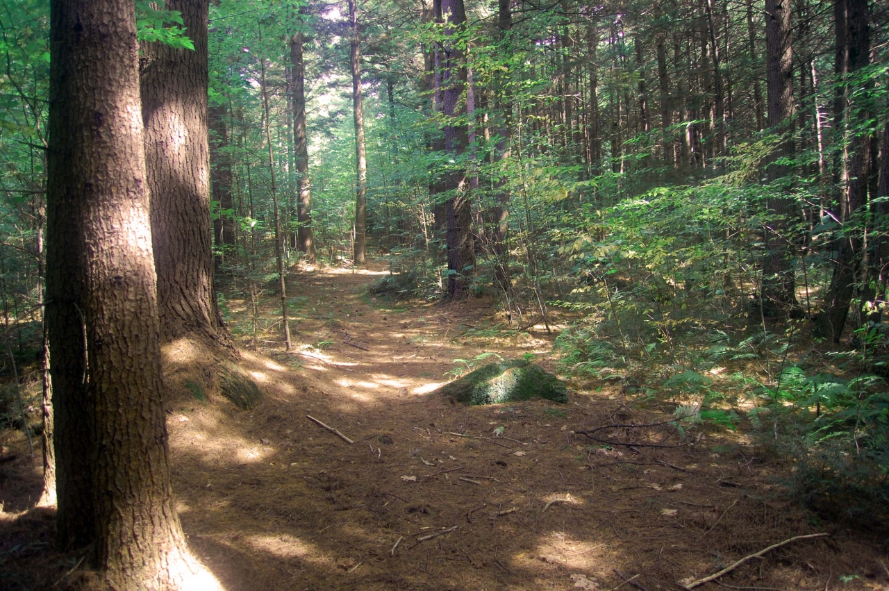 Blitzer (Rowe Mt.) | Ausbon Sargent Land Preservation Trust