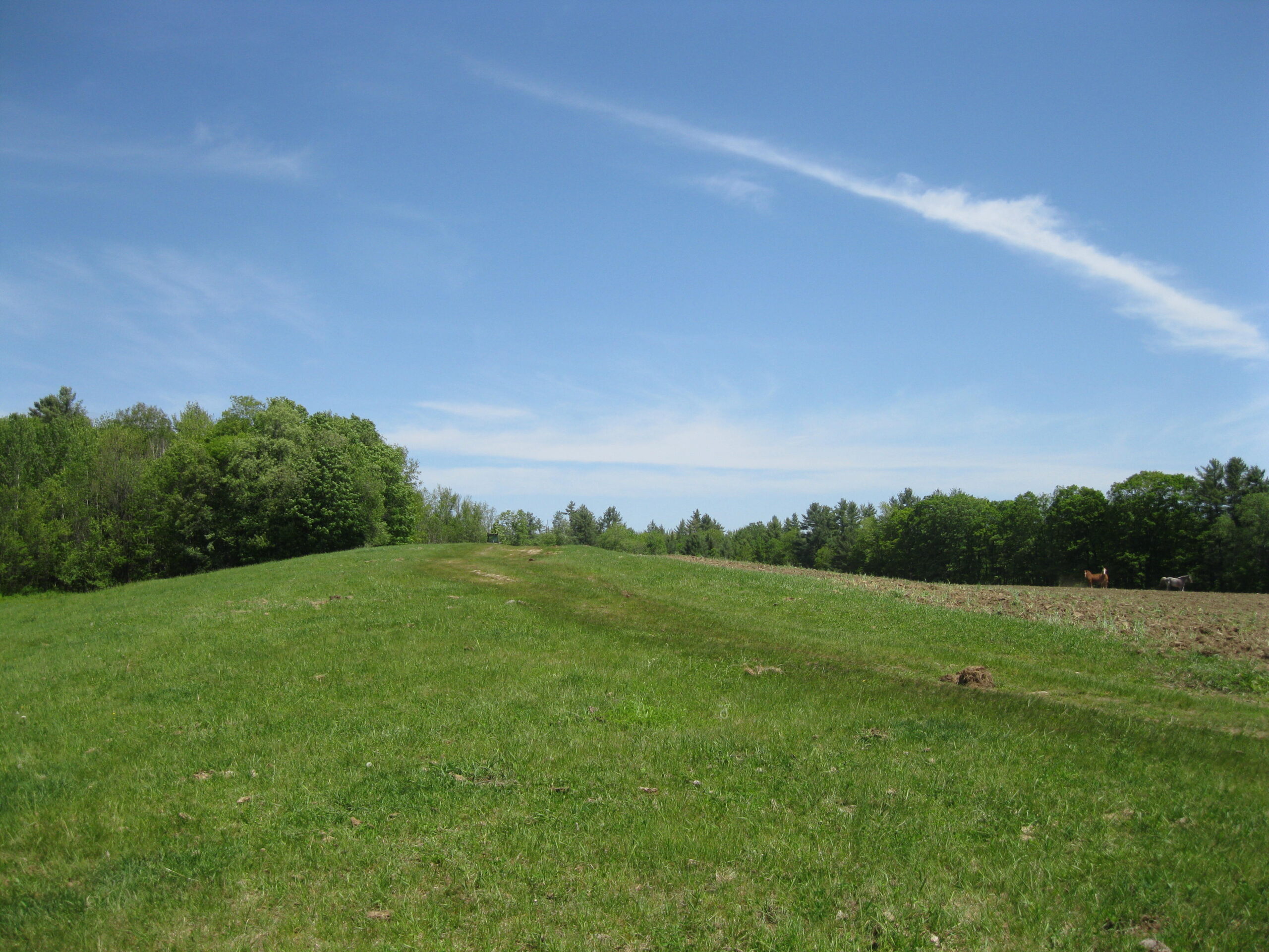 Patten | Ausbon Sargent Land Preservation Trust
