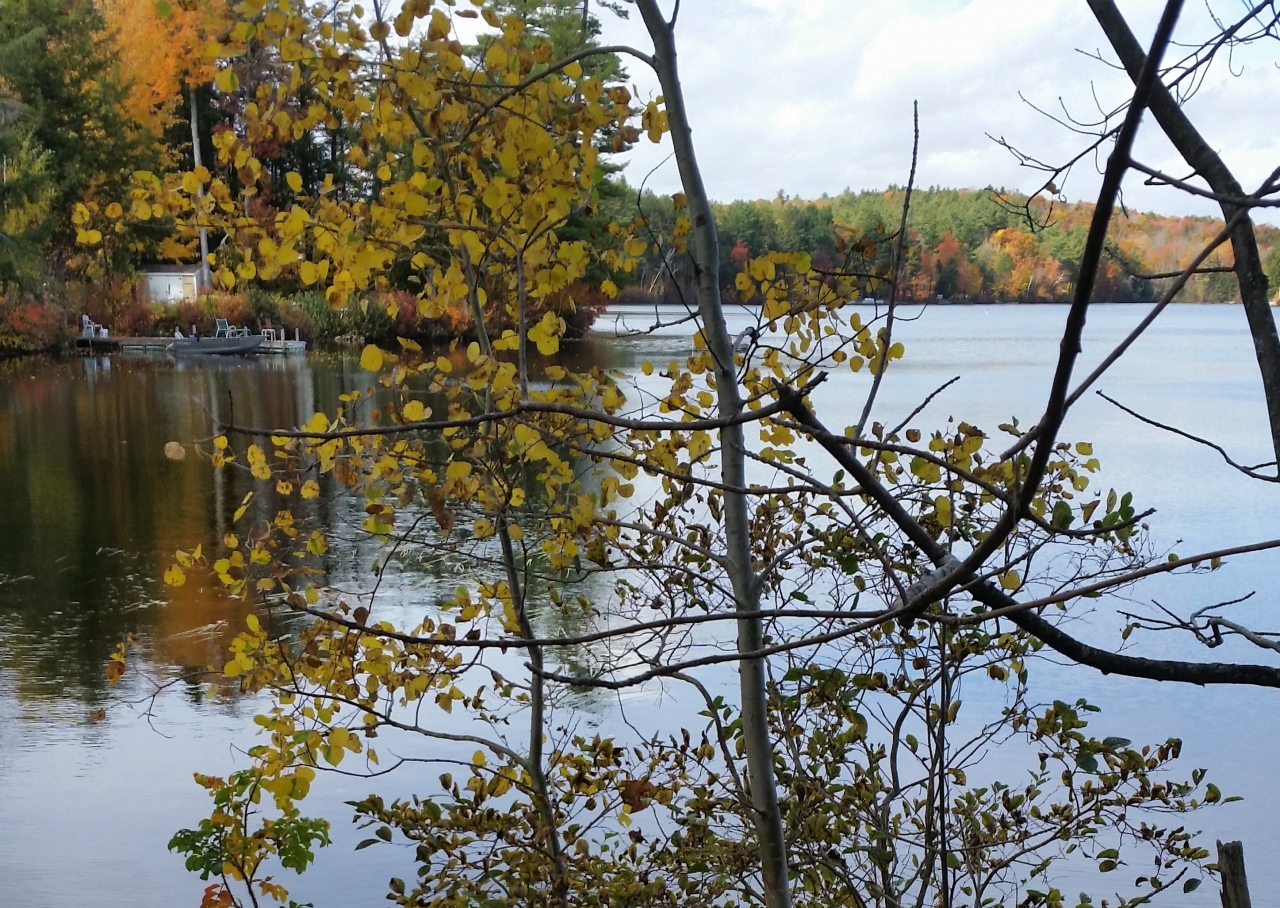 Phillips (Lake) | Ausbon Sargent Land Preservation Trust