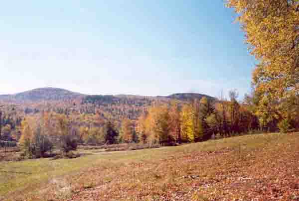 Bensley/Bassi | Ausbon Sargent Land Preservation Trust